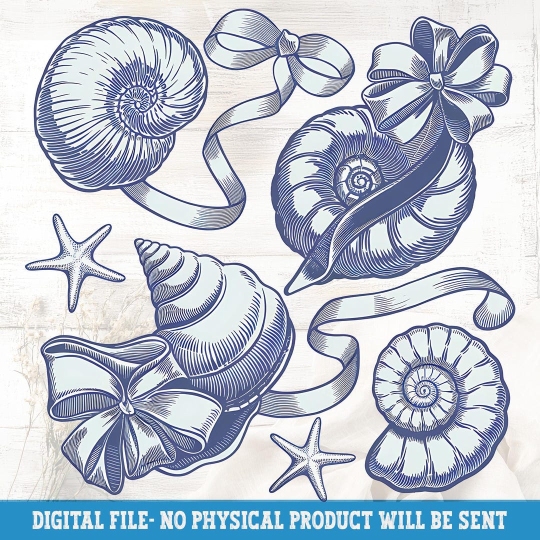 Coquette Seashell PNG, Blue Seashells Beach PNG, Coastal Summer Vibes ...
