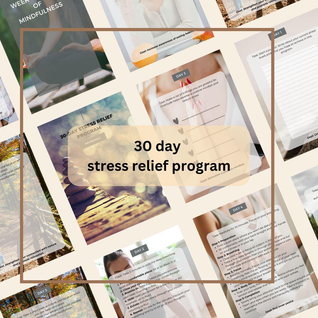 30-day Stress Relief Program Journaling, Mindfulness, and Nature ...