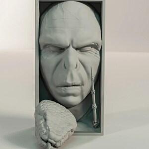 Harry Potters Lord Voldemort - Book Nook/wall Hanging - Etsy