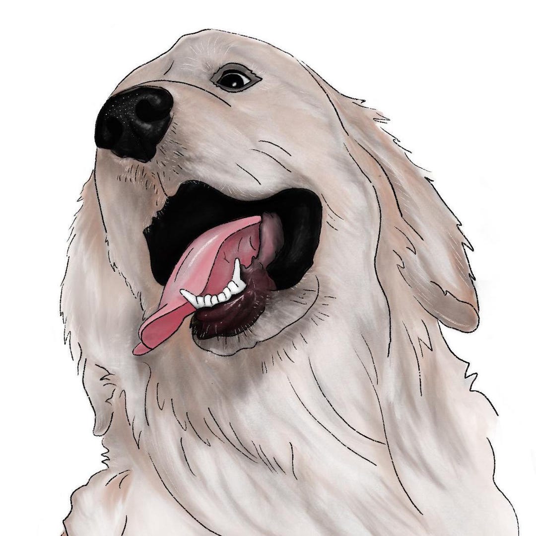 Golden Retriever Drawing - Etsy