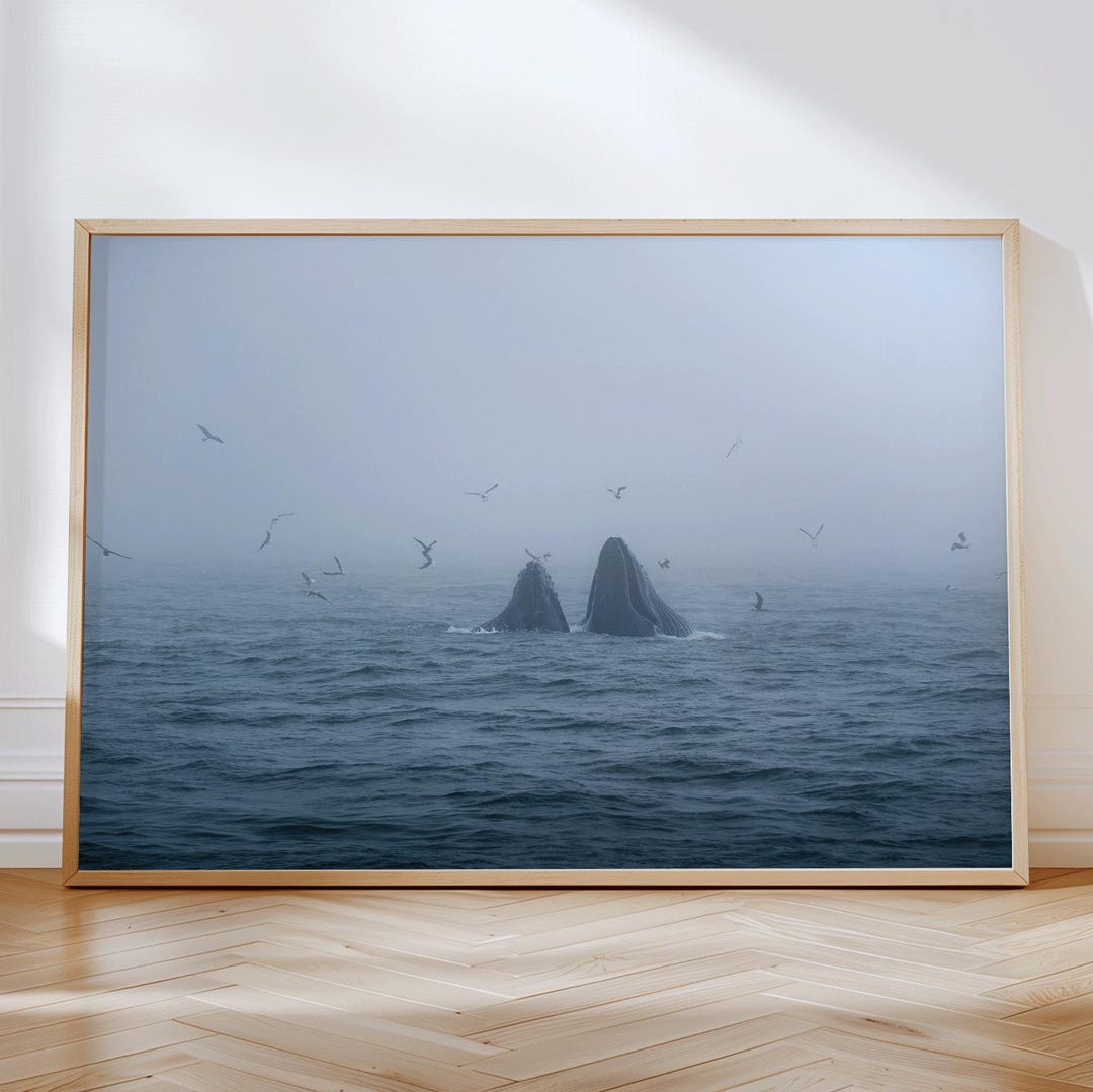 Mystical Photo of Humpback Whales in the Fog in the Pacific Ocean ...