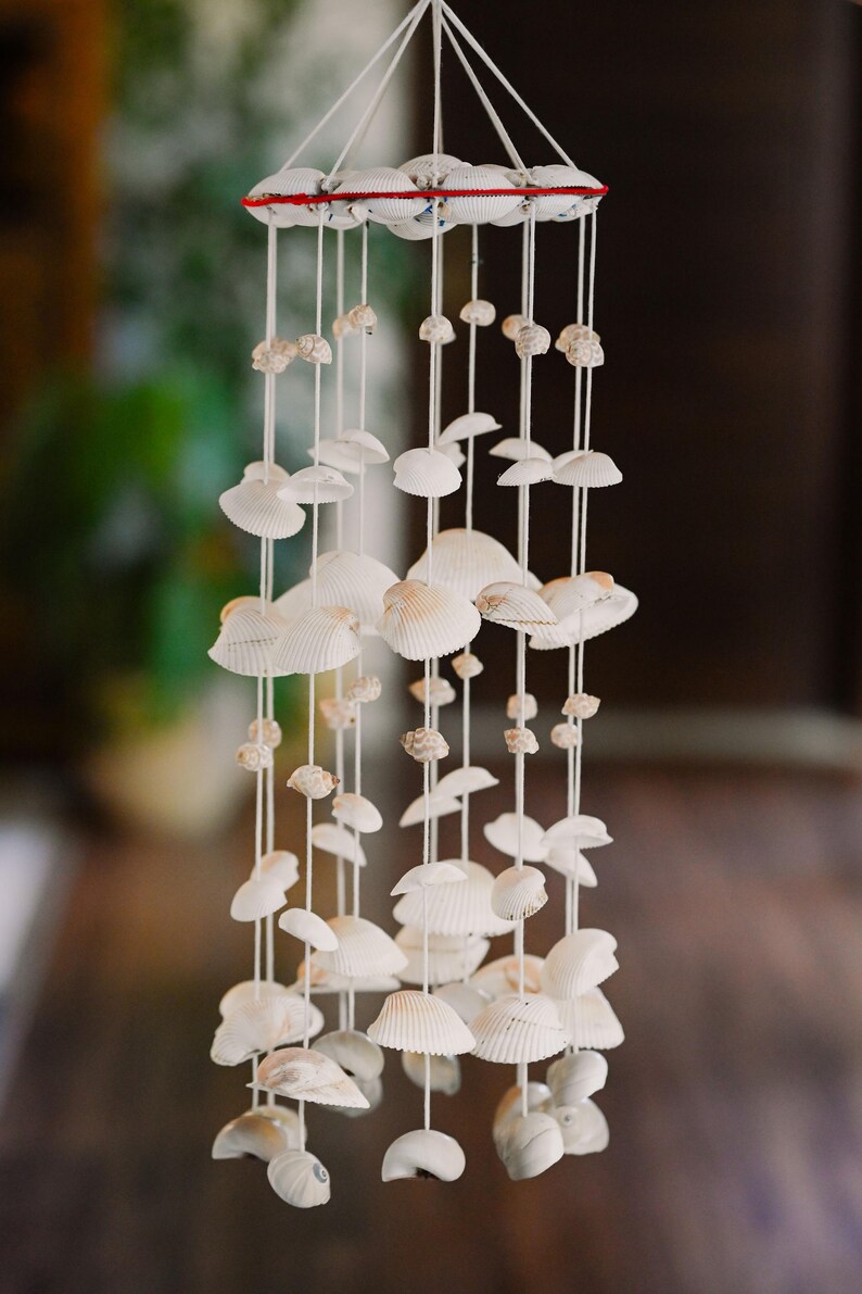 Seashell Door Hanger – Coastal Wind Chime Wall Decor – Beach House ...
