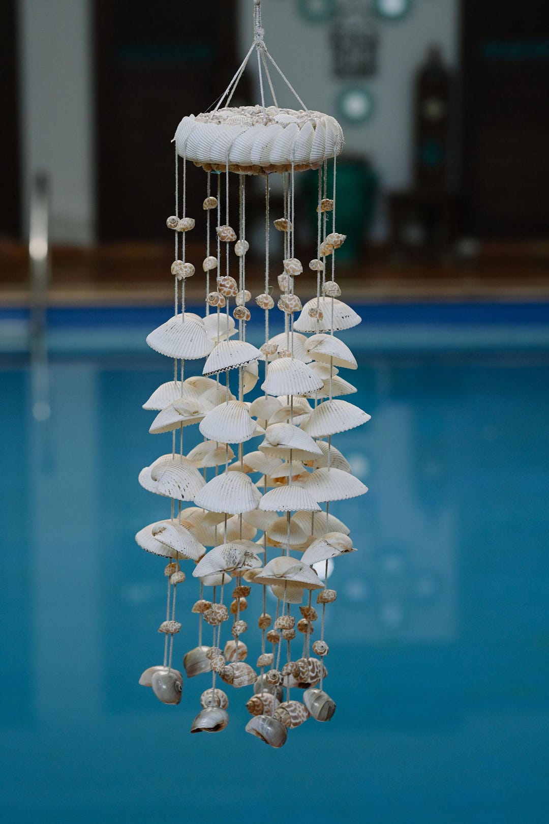 Handmade Cockle Seashell Wind Chime, Boho Style Wind Chime, Outdoor ...