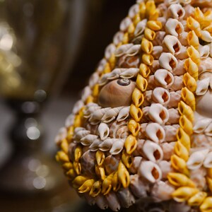 Seashell Handmade Table Lamp, Whelk Shell Lamp, Home Living Room ...