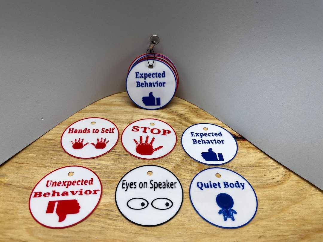 Special Education Visual Behavior Cue Cards for Teachers & Paras ...