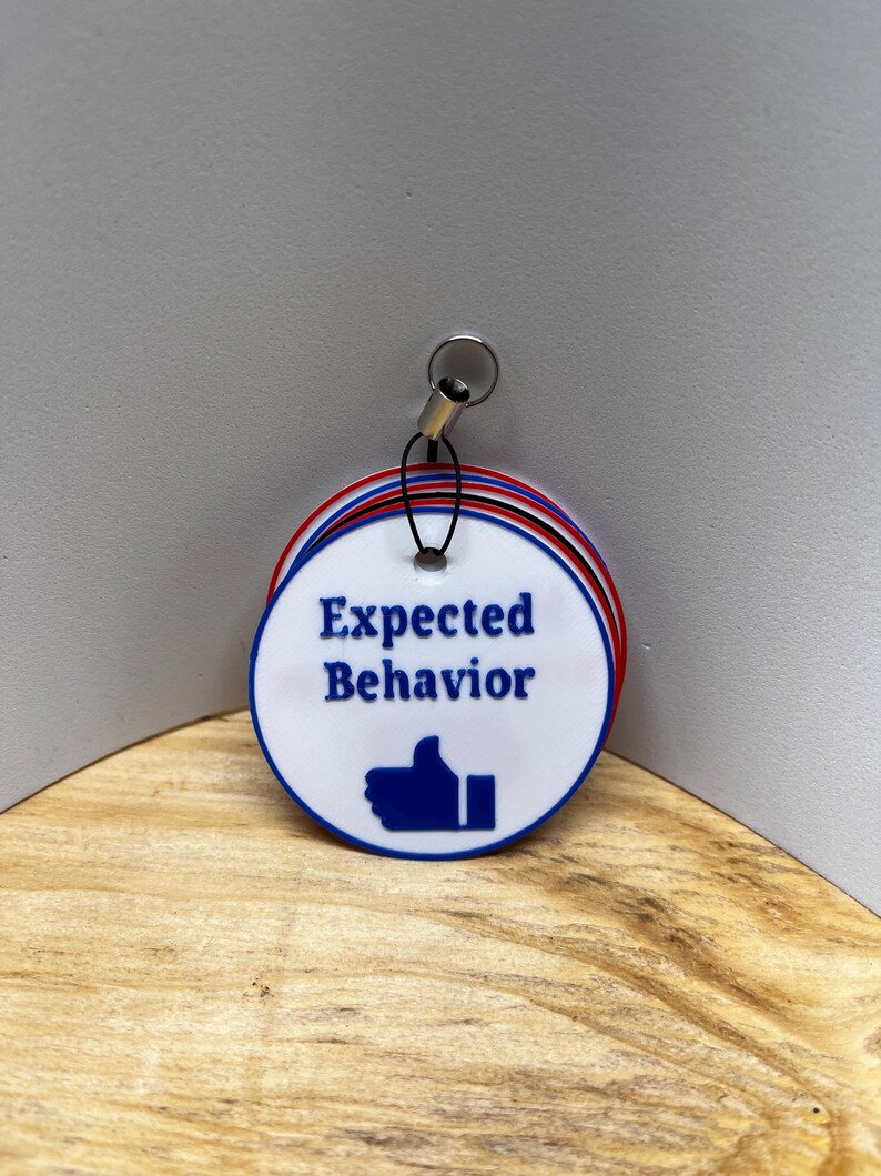 Special Education Visual Behavior Cue Cards for Teachers & Paras ...