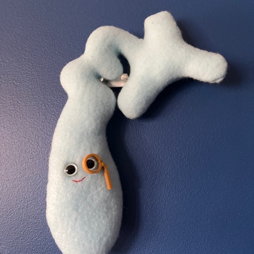 Nerdbugs Gallbladder Plush Organ Toys Gallbladder Surgery | Etsy