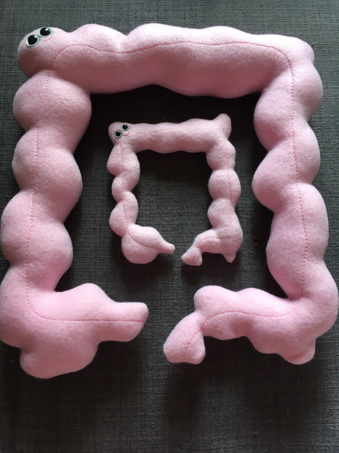 Mini Colon! - Etsy