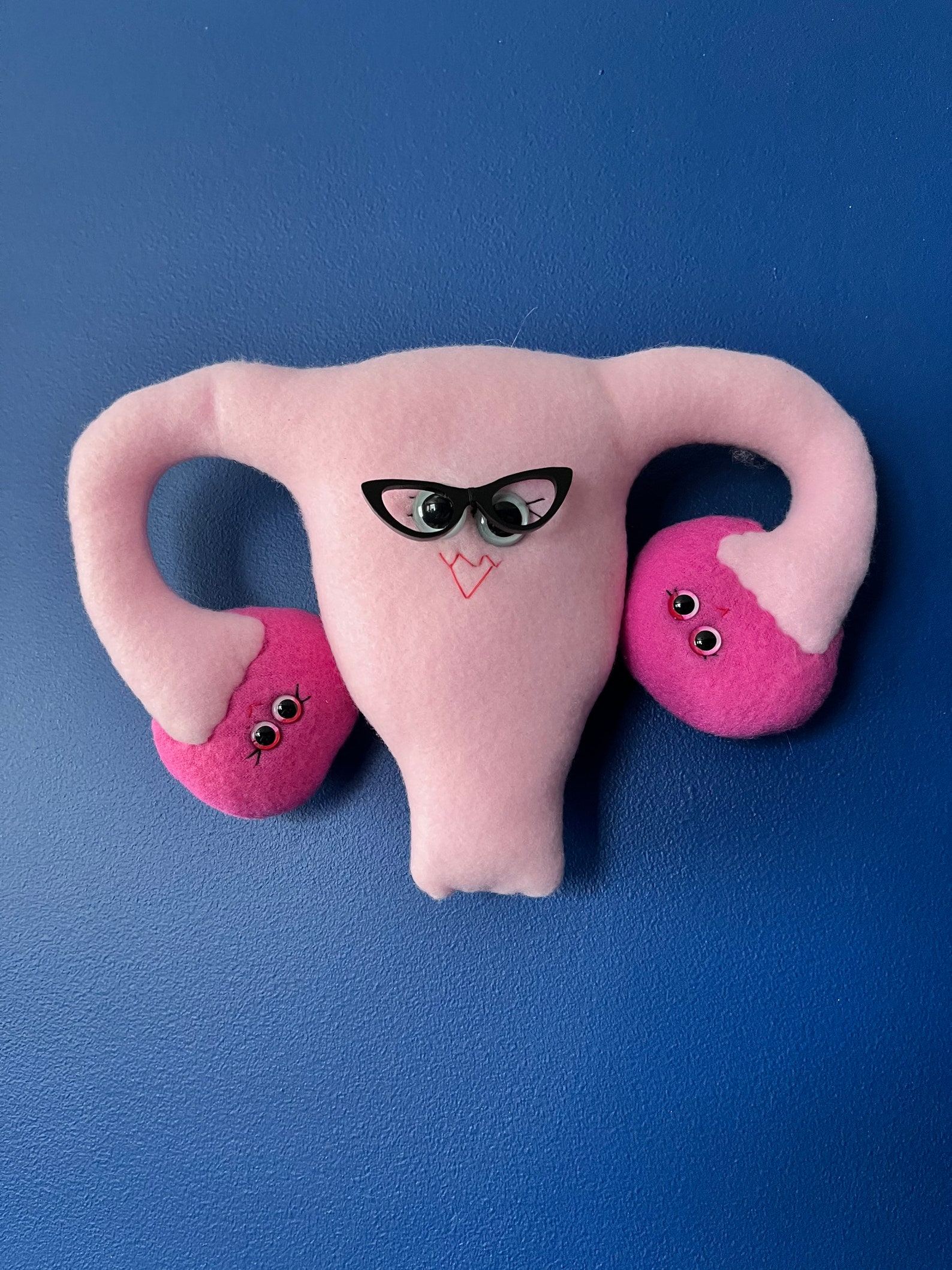Dorothy Blanche and Rose uterus and Ovaries - Etsy