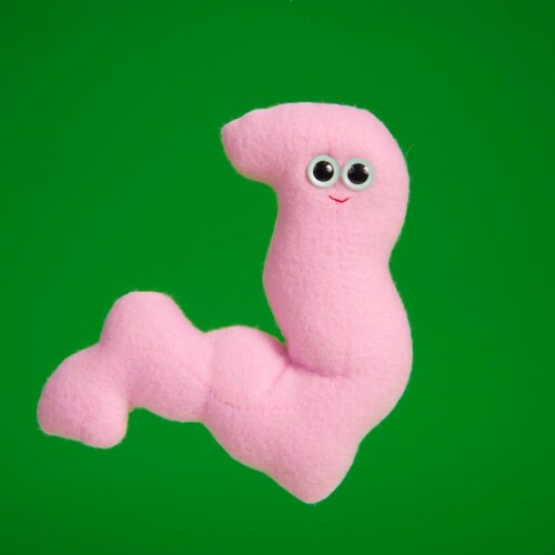 Nerdbugs Gallbladder Plush Organ Toys Gallbladder Surgery | Etsy