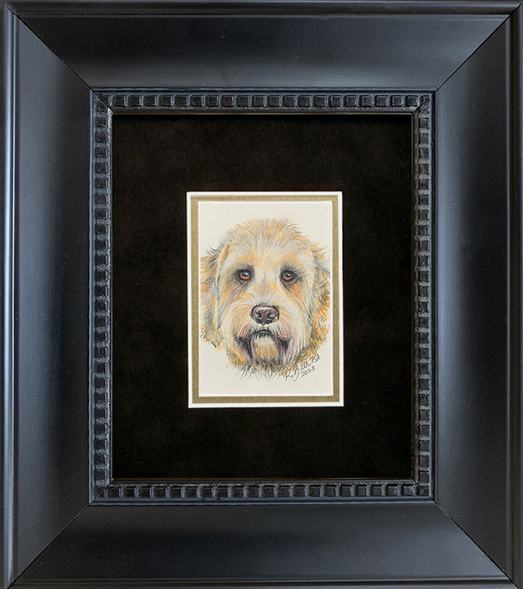 Original Mini Pastel Drawing "labradoodle" by Pastel Artist Roby Baer ...