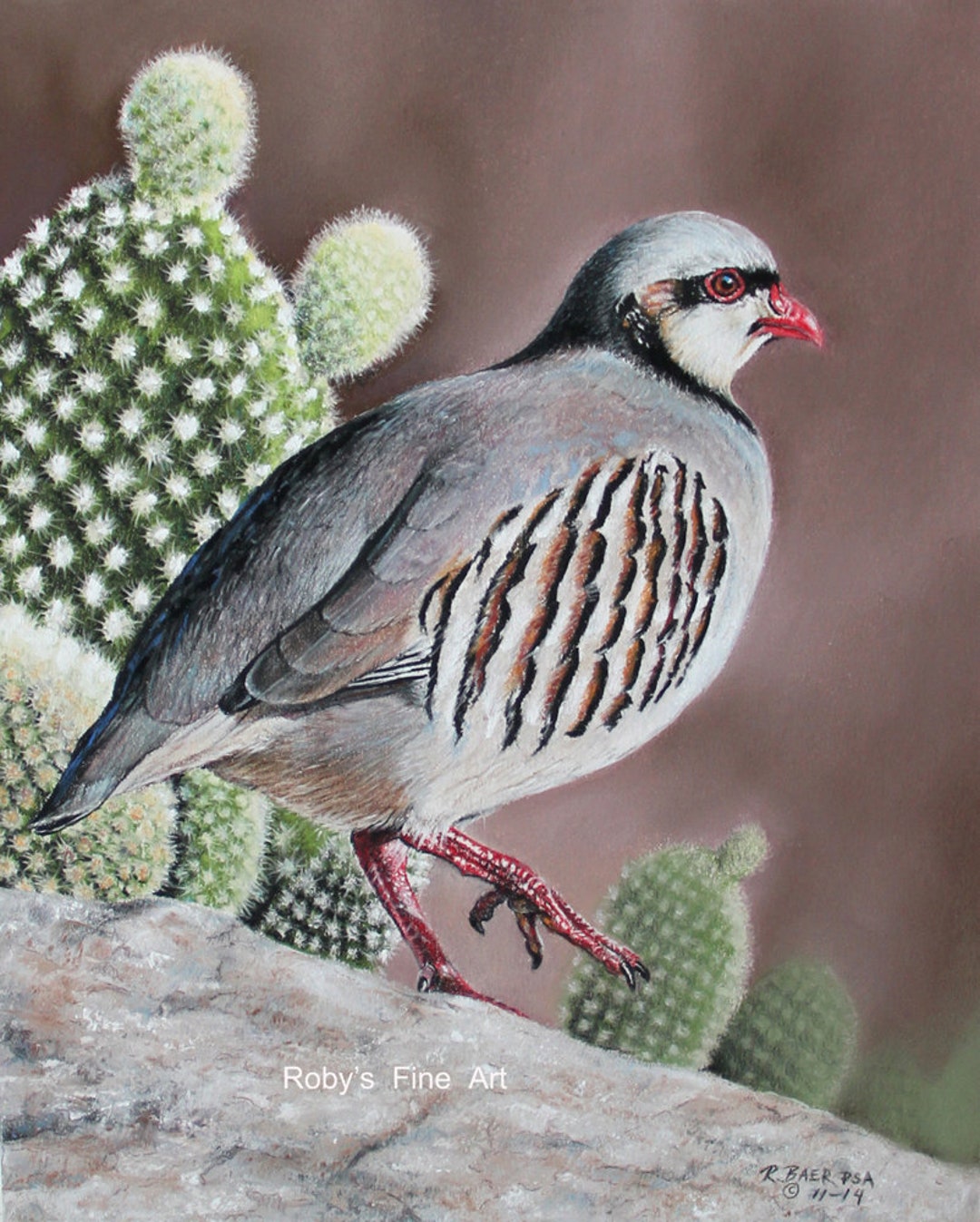 Bird Art Print chukar 5 X 7 Inch Giclee by Wildlife Artist Roby Baer ...