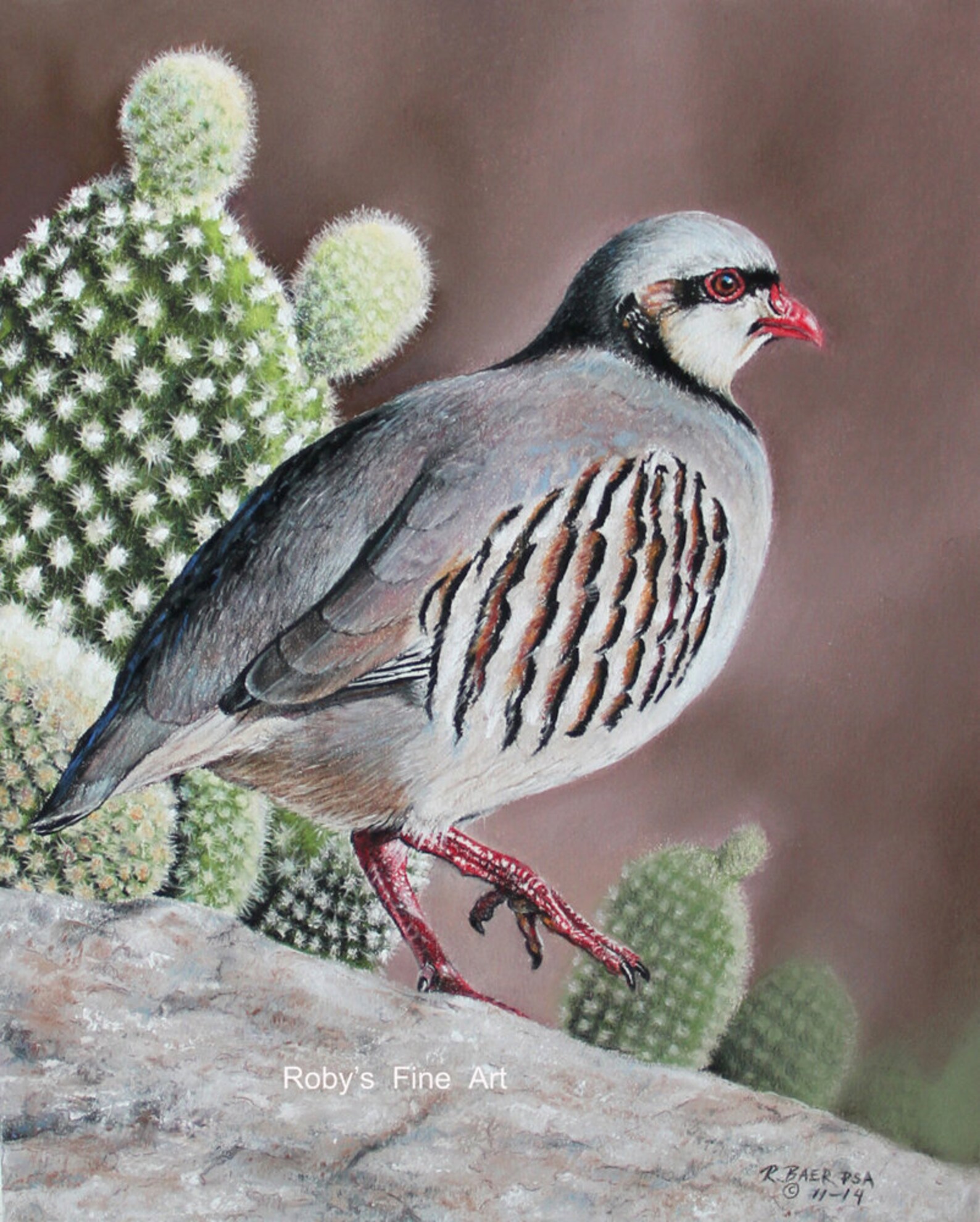 Bird Art Print "chukar" 5 X 7 Inch Giclee by Wildlife Artist Roby Baer ...