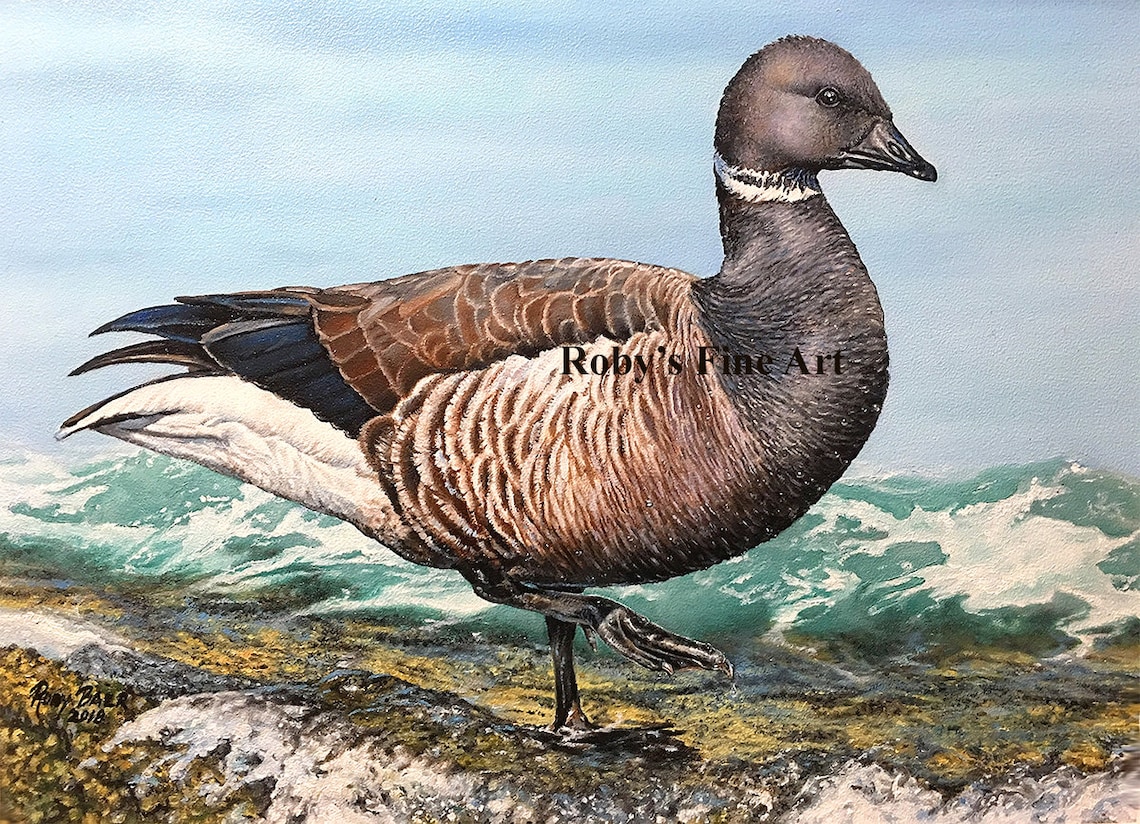 Goose Art Print "brant Goose" 5 X 7 Inch Giclee by Wildlife Artist ...