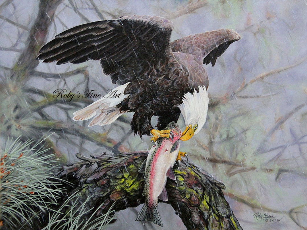 Limited Edition Bald Eagle Art Print liberty's Rainbow by Wildlife ...