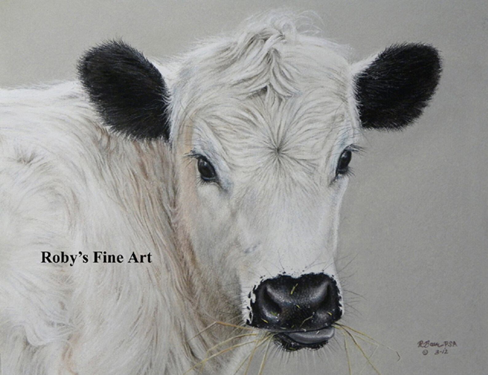 Cattle Art Print Angus Longhorn Cross "dora" 5 X 7 Inch Giclee by ...
