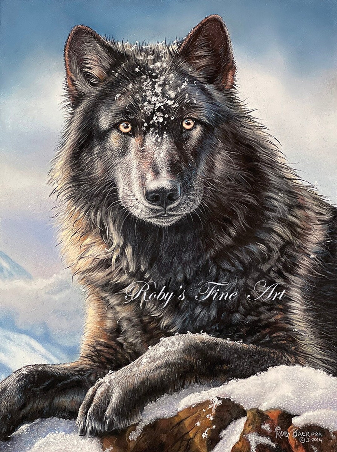 Limited Edition Timber Wolf Art Print "cold Stare" by Wildlife Artist ...