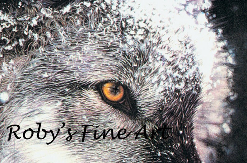 Limited Edition Gray Wolf Art Print "eye of the Storm" by Wildlife ...