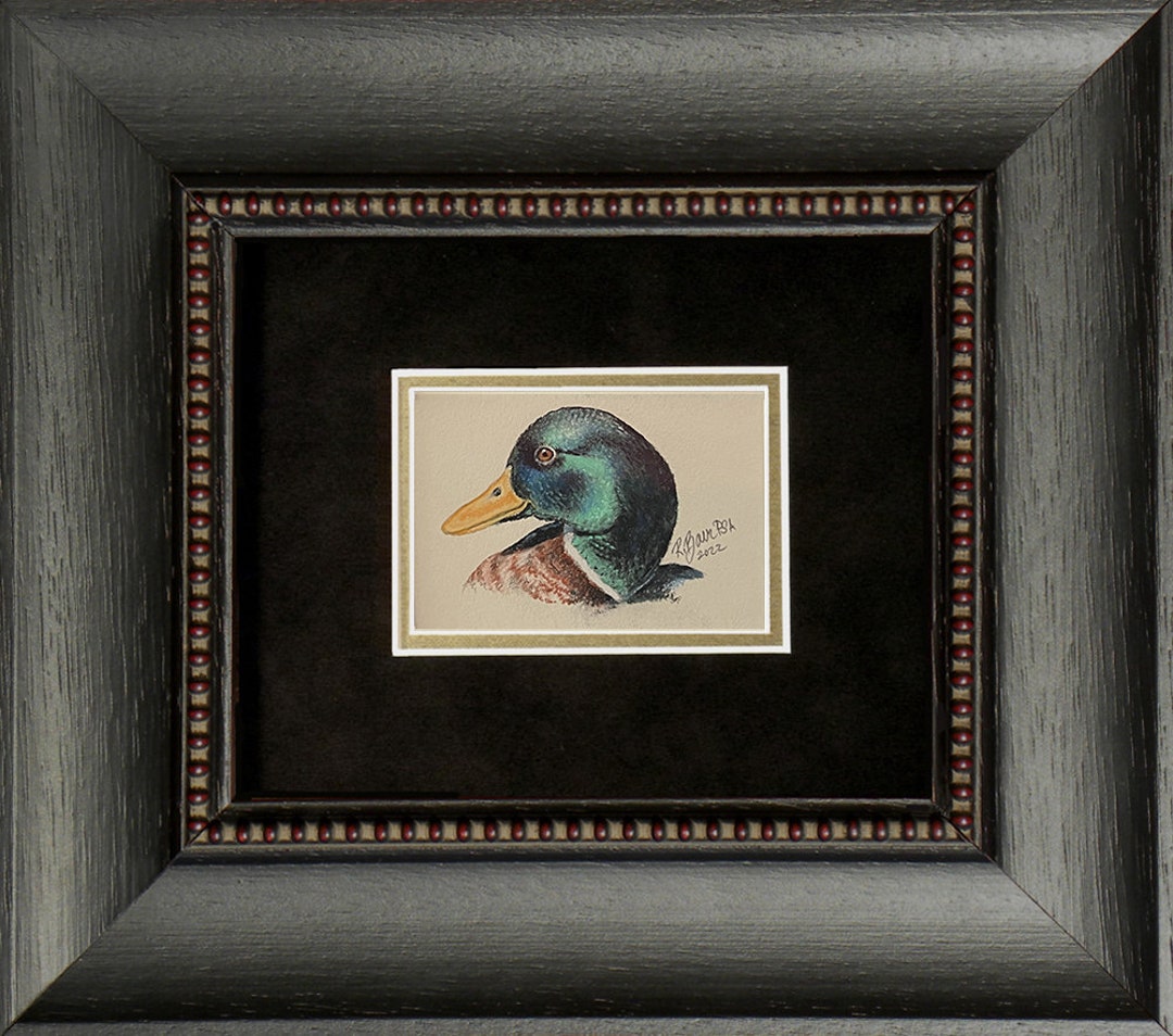 Original Mini Pastel Drawing mallard Drake Duck by Pastel Artist Roby ...