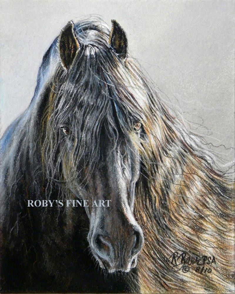Horse Art Print "friesian Stallion" 8 X 10 Inch Giclee by Artist Roby ...