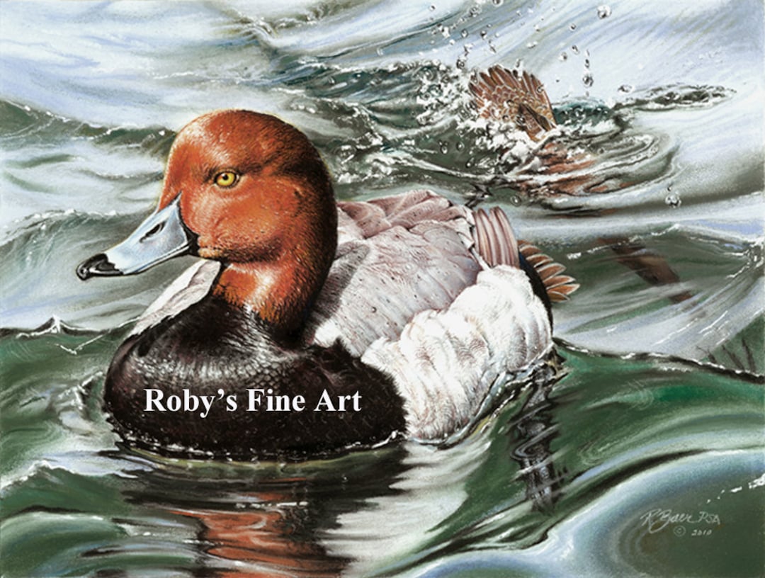 Limited Edition "redhead Duck" Print Waterfowl Giclee by Artist Roby ...