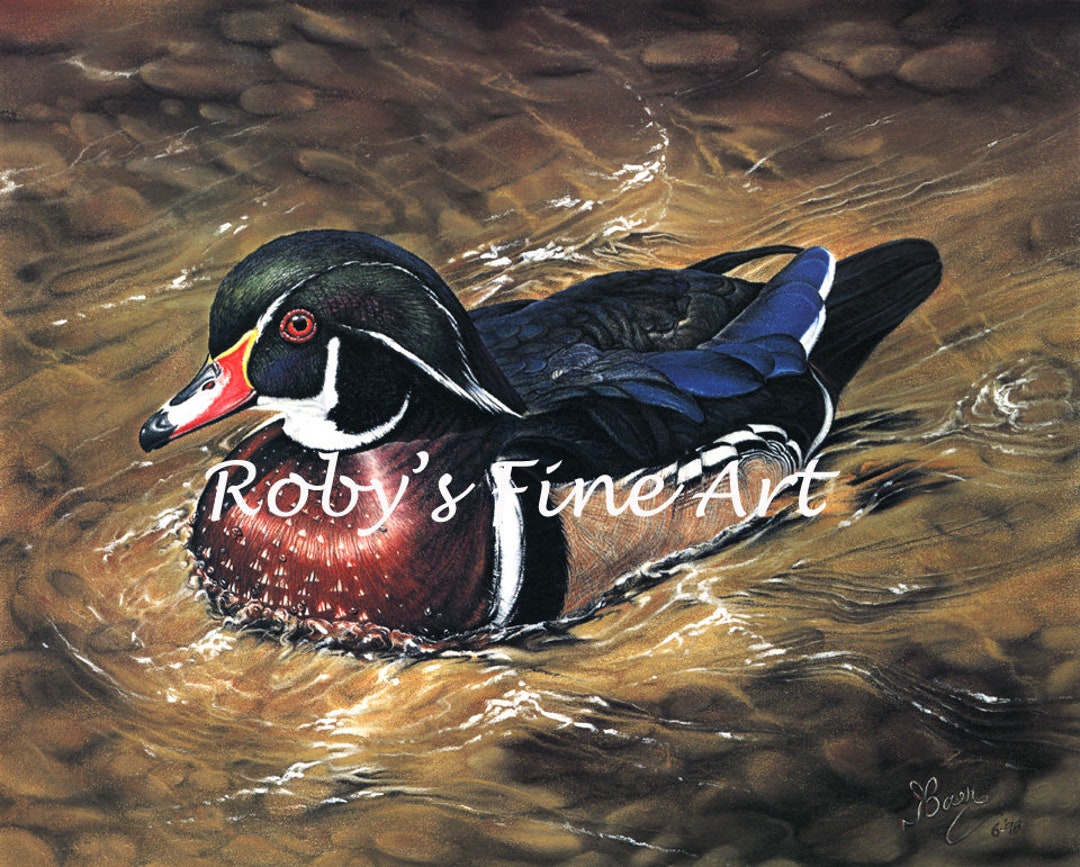 Limited Edition Wood Duck Drake Print on My Way Waterfowl Giclee by ...