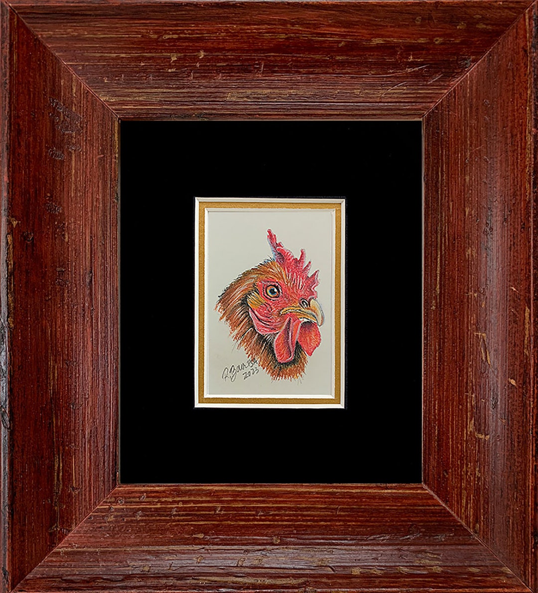 Original Mini Pastel Drawing "rhode Island Red" by Pastel Artist Roby ...