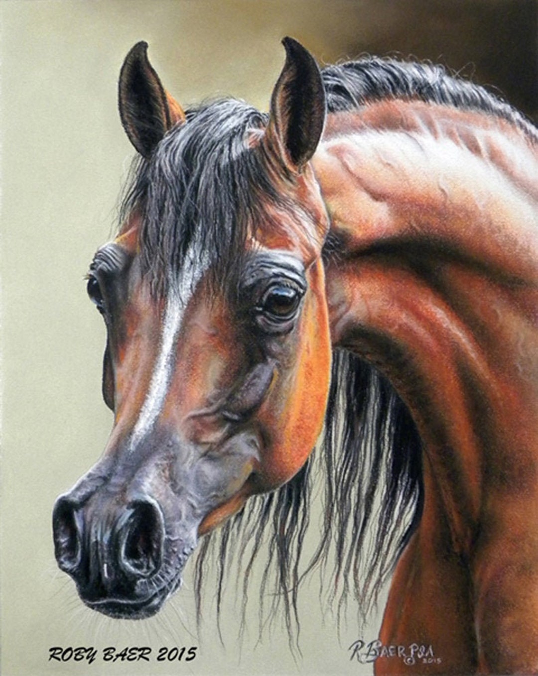 Arabian Mare Art Print "arabian Mare" 8 X 10 Inch Giclee by Artist Roby ...