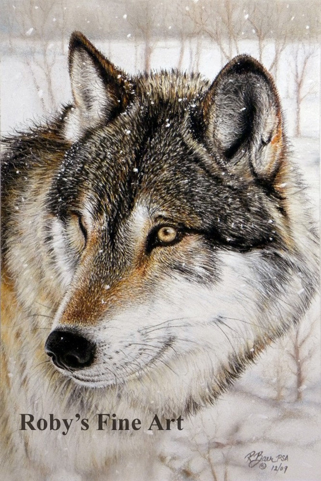 Timber Wolf Art Print "winter's Watch" 5 X 7 Inch Giclee by Wildlife ...