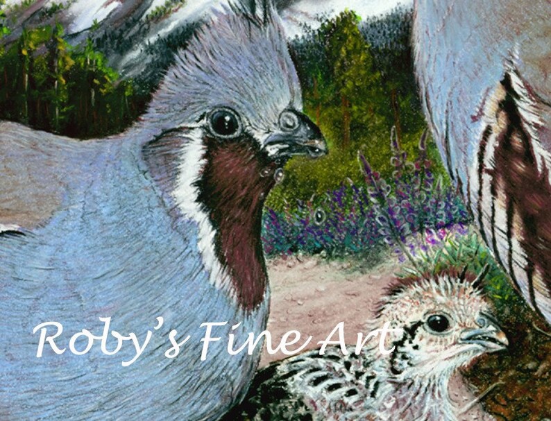 Mountain Quail Art Print "covey Cove" 5 X 7 Inch Giclee by Wildlife ...