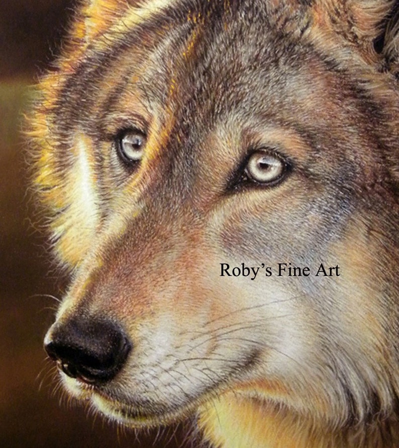 Timber Wolf Art Print evening Scout 5 X 7 Inch - Etsy