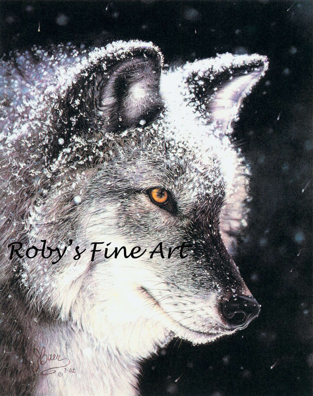 Limited Edition Gray Wolf Art Print "eye of the Storm" by Wildlife ...