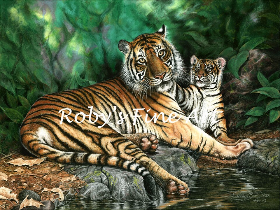 Sumatran Tiger Art Print "majestic Patience" 5 X 7 Inch Giclee by ...