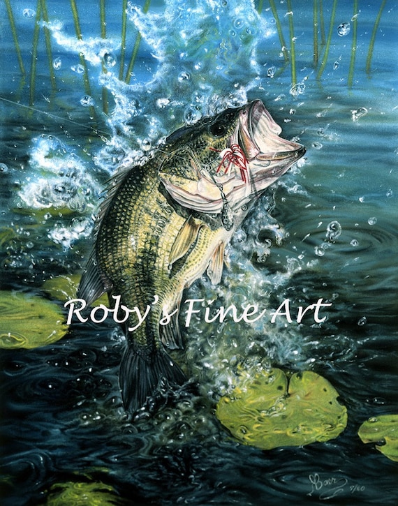 Freshwater Fishing Art