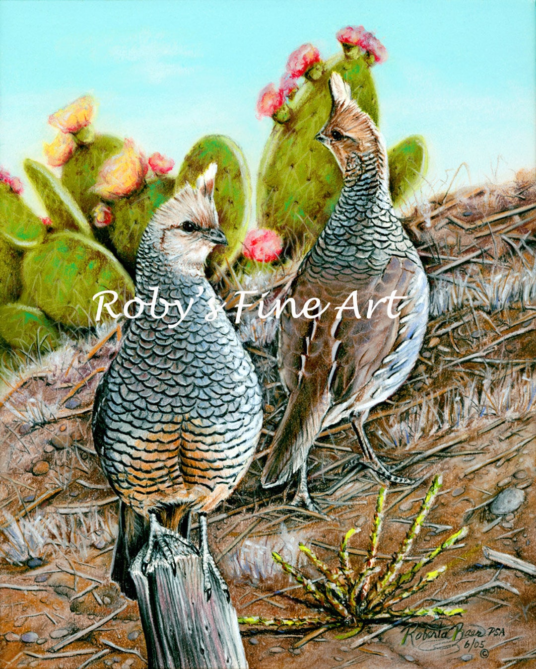 Limited Edition Scaled Quail Art Print "cottontops" by Wildlife Artist ...