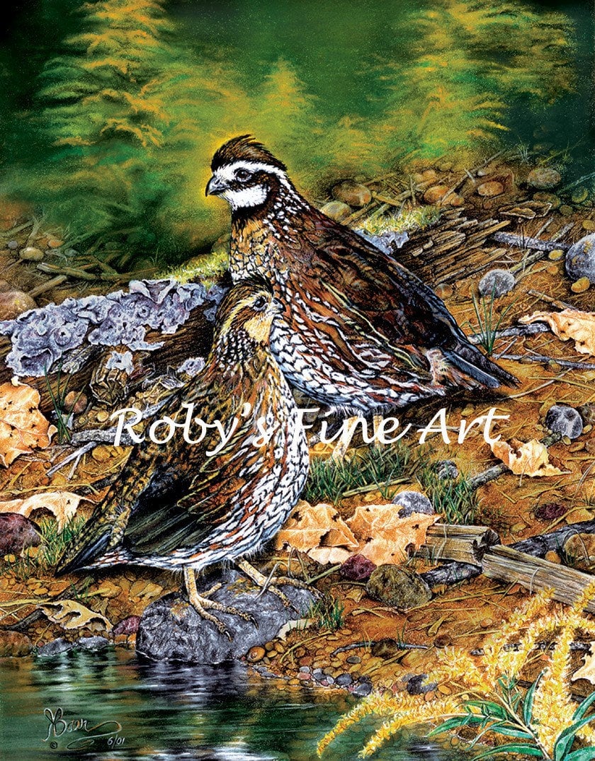 Bobwhite Quail Art Print "afternoon Break" 8 X 10 Inch Giclee by ...