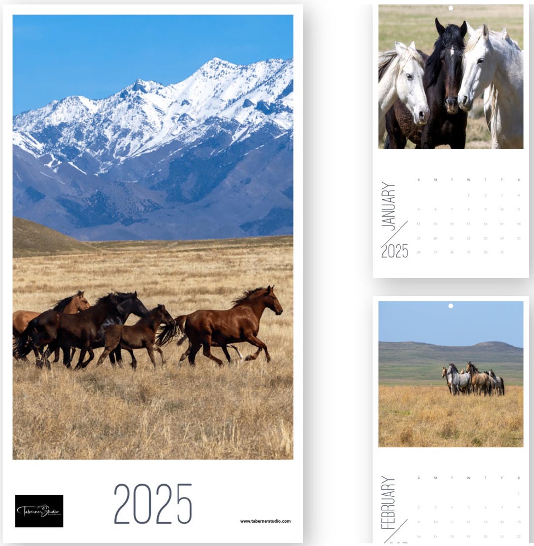 2025 Wild Horses Wall Calendar: A Tribute to Freedom - Etsy