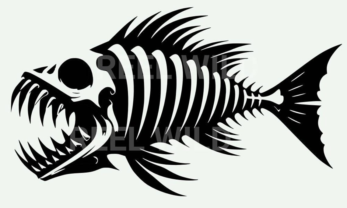 Aggressive Skeleton Fish Digital Art – Fishing PNG, Skull Fish Clipart ...