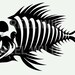 Aggressive Skeleton Fish Digital Art – Fishing PNG, Skull Fish Clipart ...