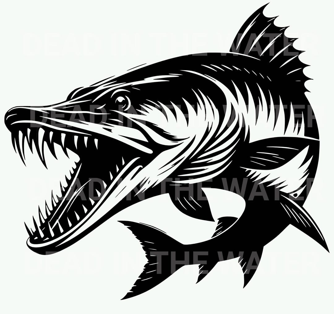 5 High Resolution Muskie - 5000 PX - Transparent Background PNG Images ...