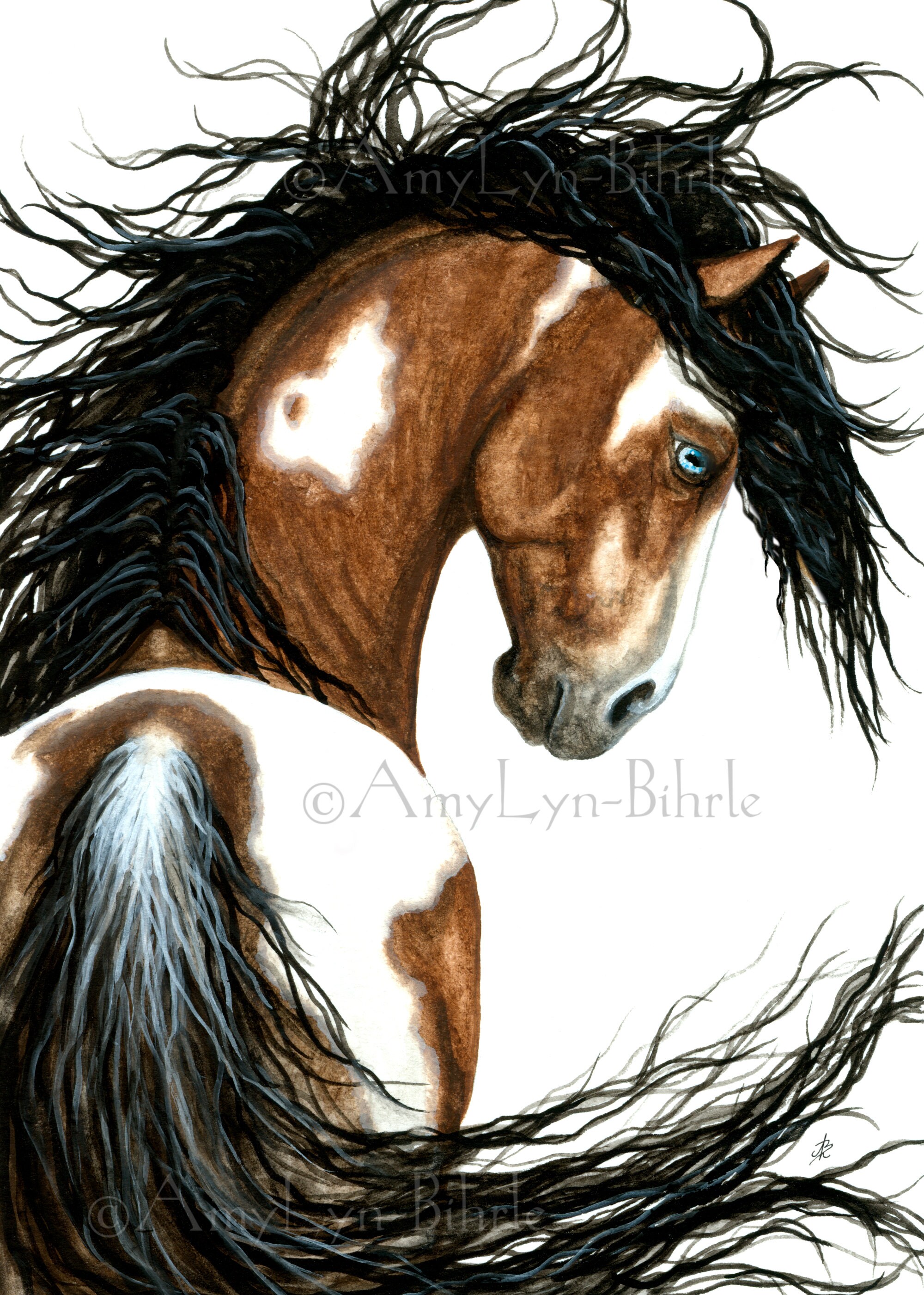 American Pinto Horse