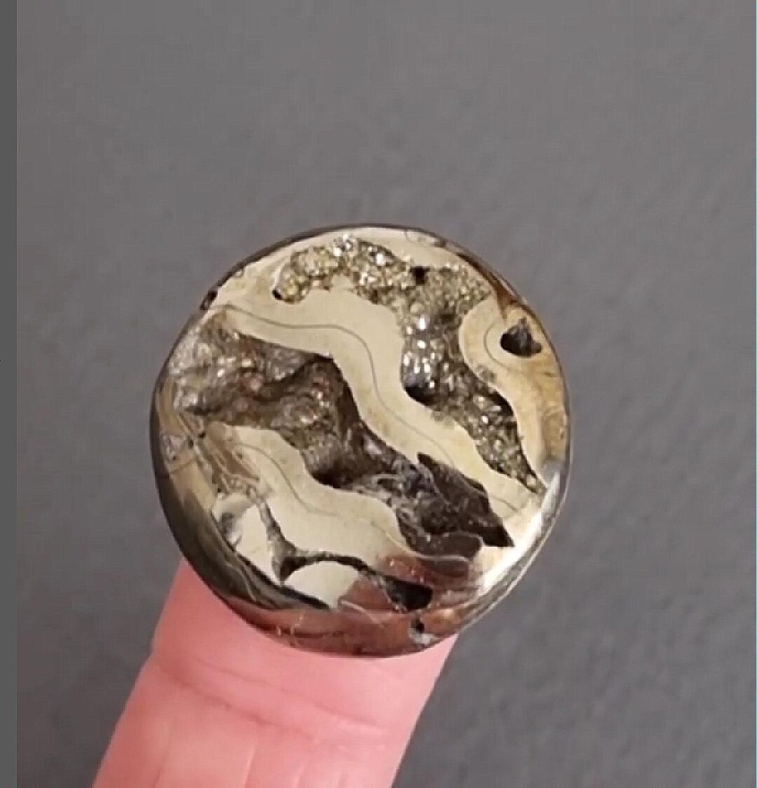 Ammonite Fragment With Pyrite Designer Cabochon 25 х 5 Mm, High Quality ...