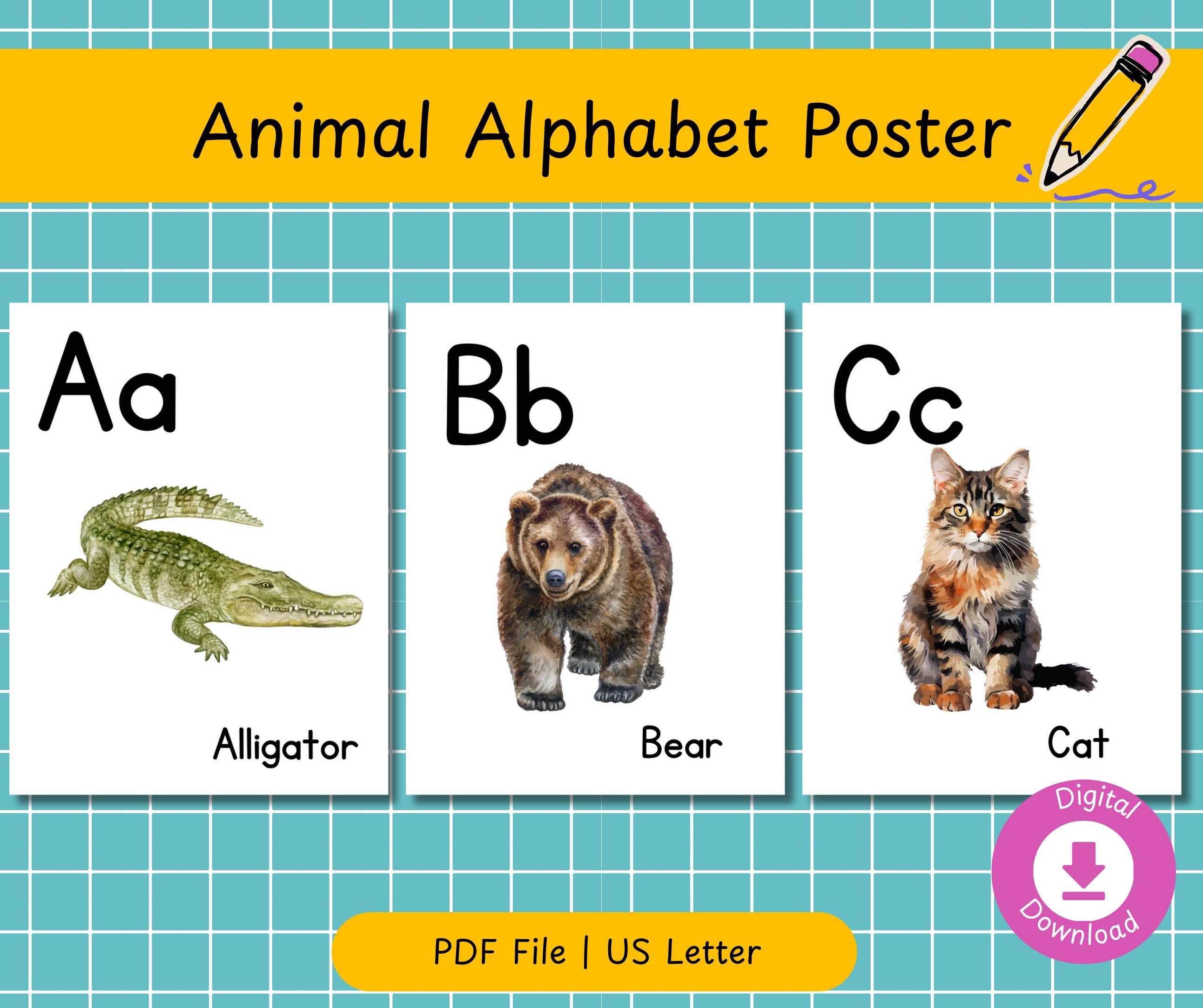 Animal Alphabet Poster for Kids, Educational Wall Art, Nursery Decor, A ...