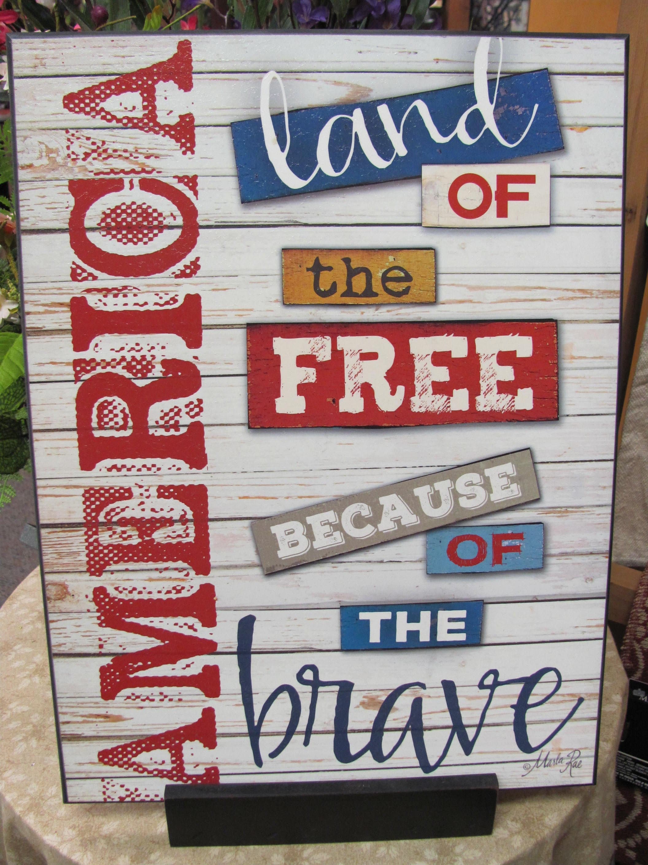 Patriotic Wall DecorAmerica Land Of The FreeBecause Of The | Etsy