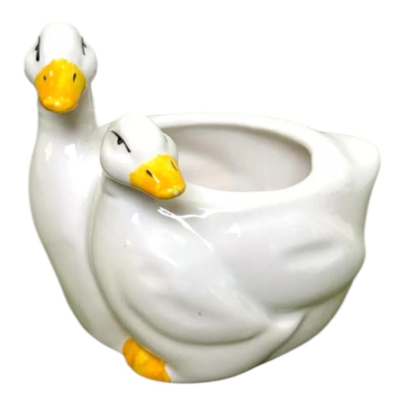 Swan Soap Dish - Etsy