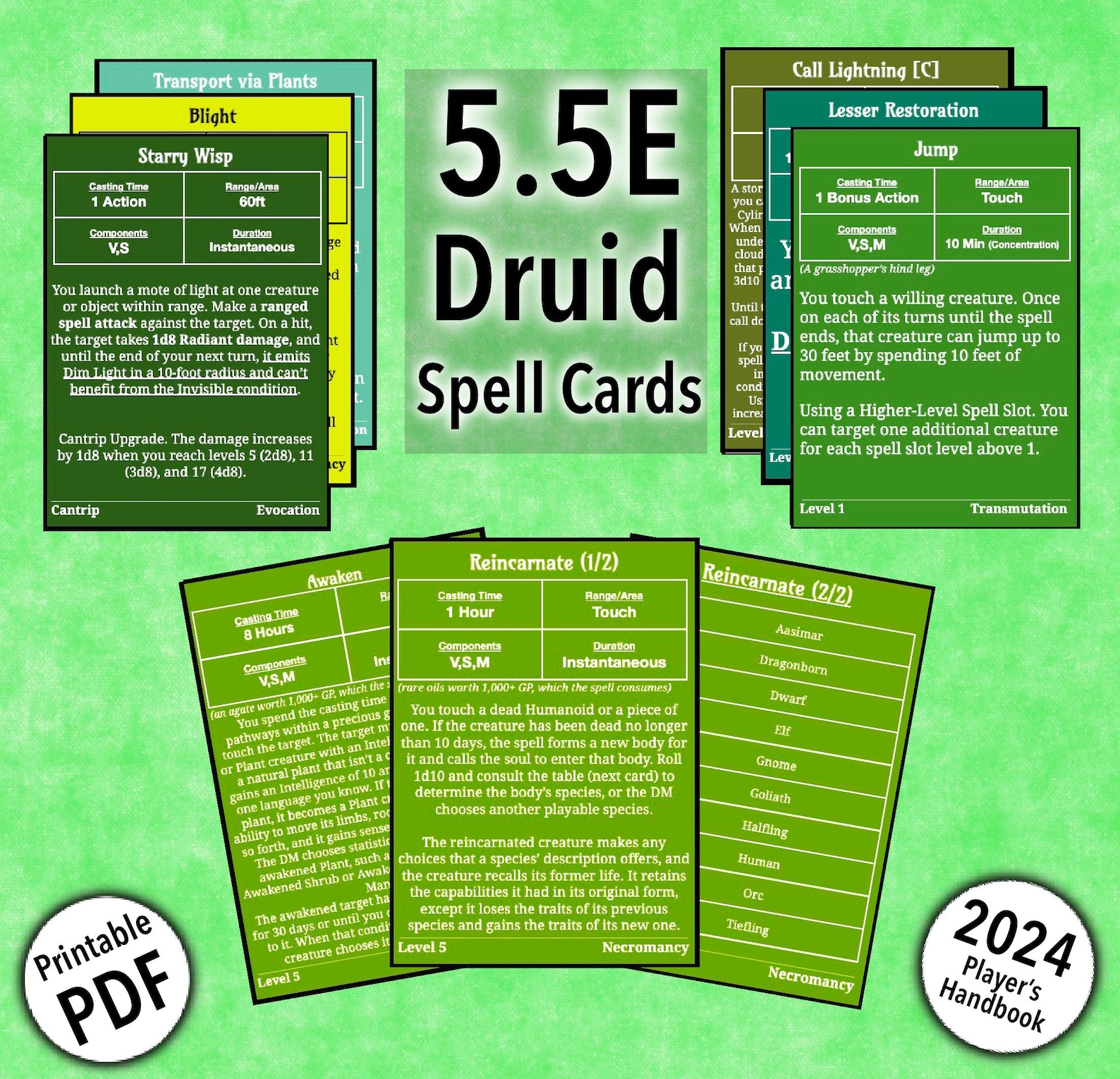 D&D Druid Spell Cards 5.5e 2024 Players Handbook All Druid Spells ...