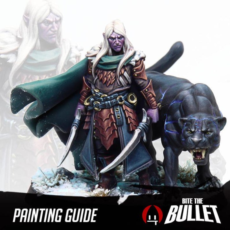 Drow Ranger + Panther | 25 28 32mm D&D Elf Underdark Pc Fighter Warrior ...