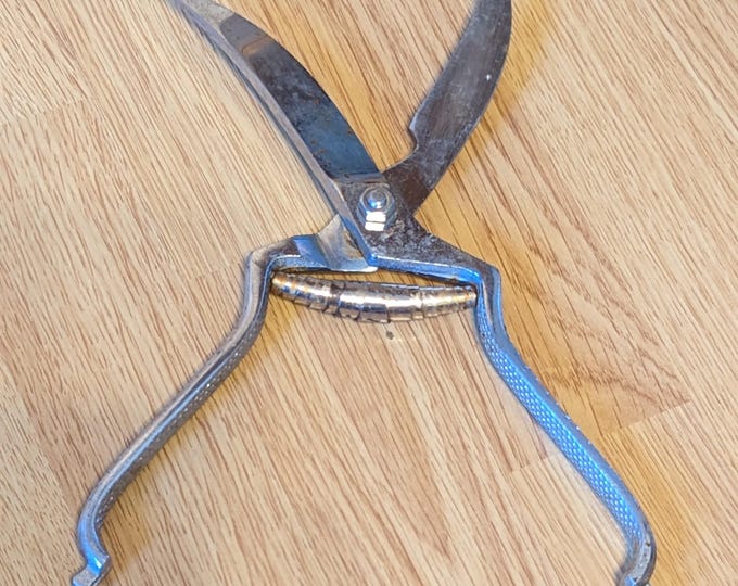 Vintage Laurus Solingen Steel Kitchen Poultry Shears Scissor Cutlery ...