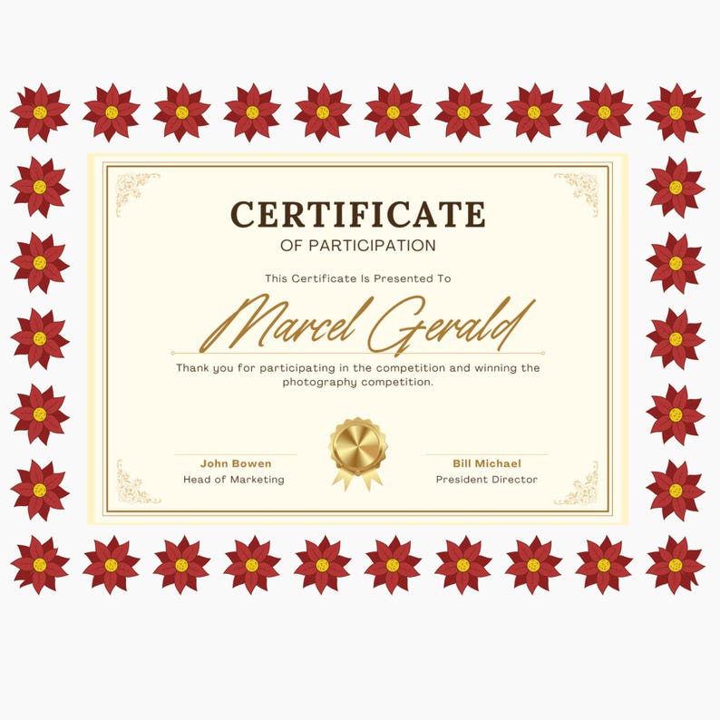 Customizable Participation Certificate Template: Print & Digital Award ...