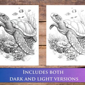 50 Sea Creature Coloring Pages – Underwater Adventure, Relaxing Marine ...